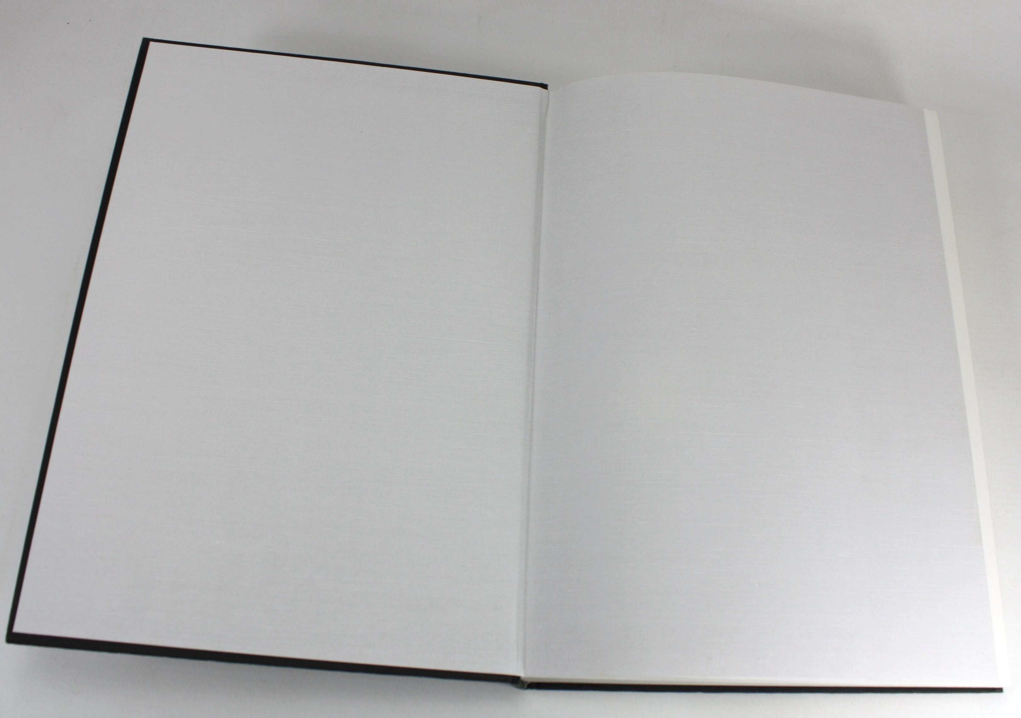 Raffles; The Story of Singapore, Raymond Flower, 2007 — Lanna Antique