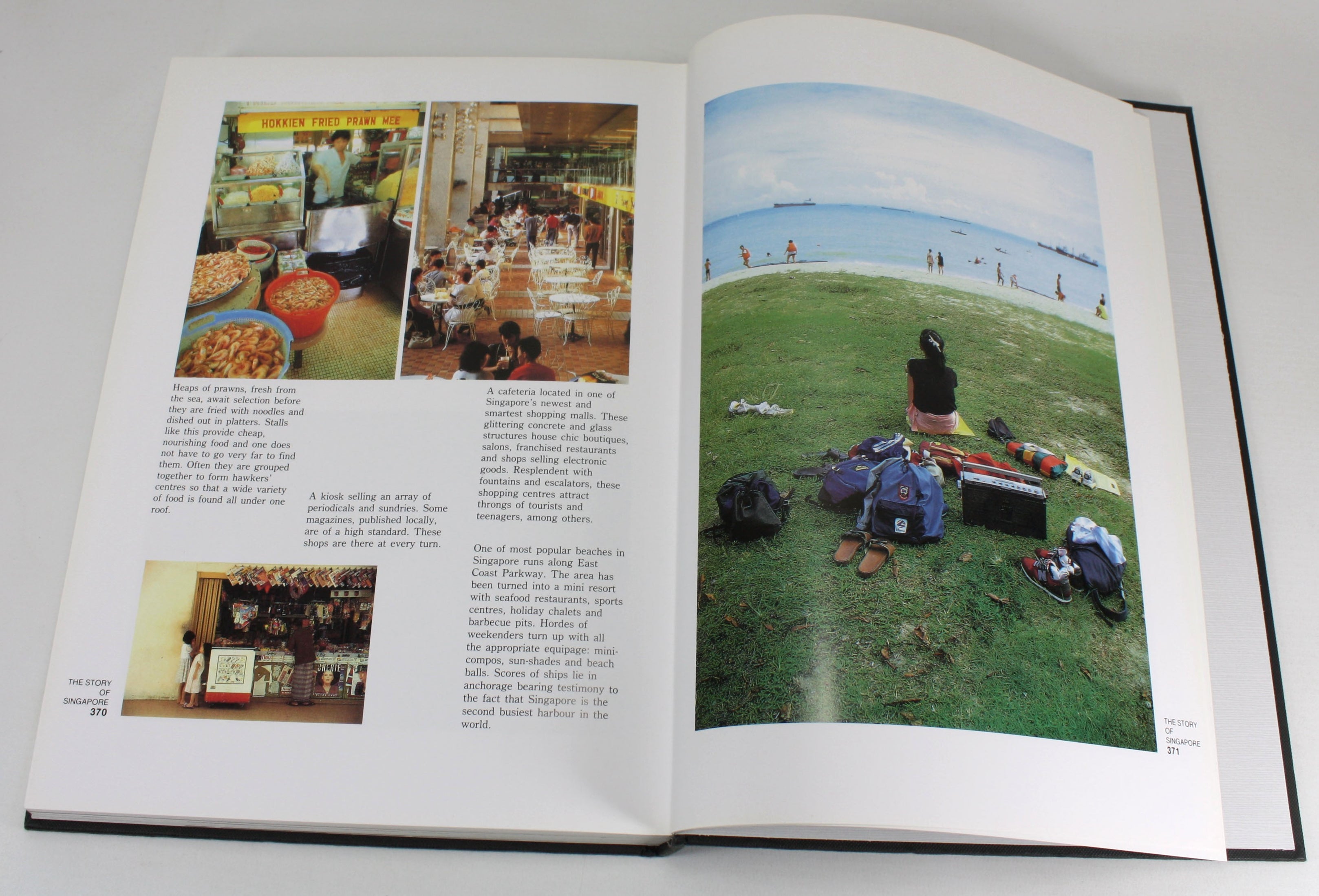 Raffles; The Story of Singapore, Raymond Flower, 2007 — Lanna Antique