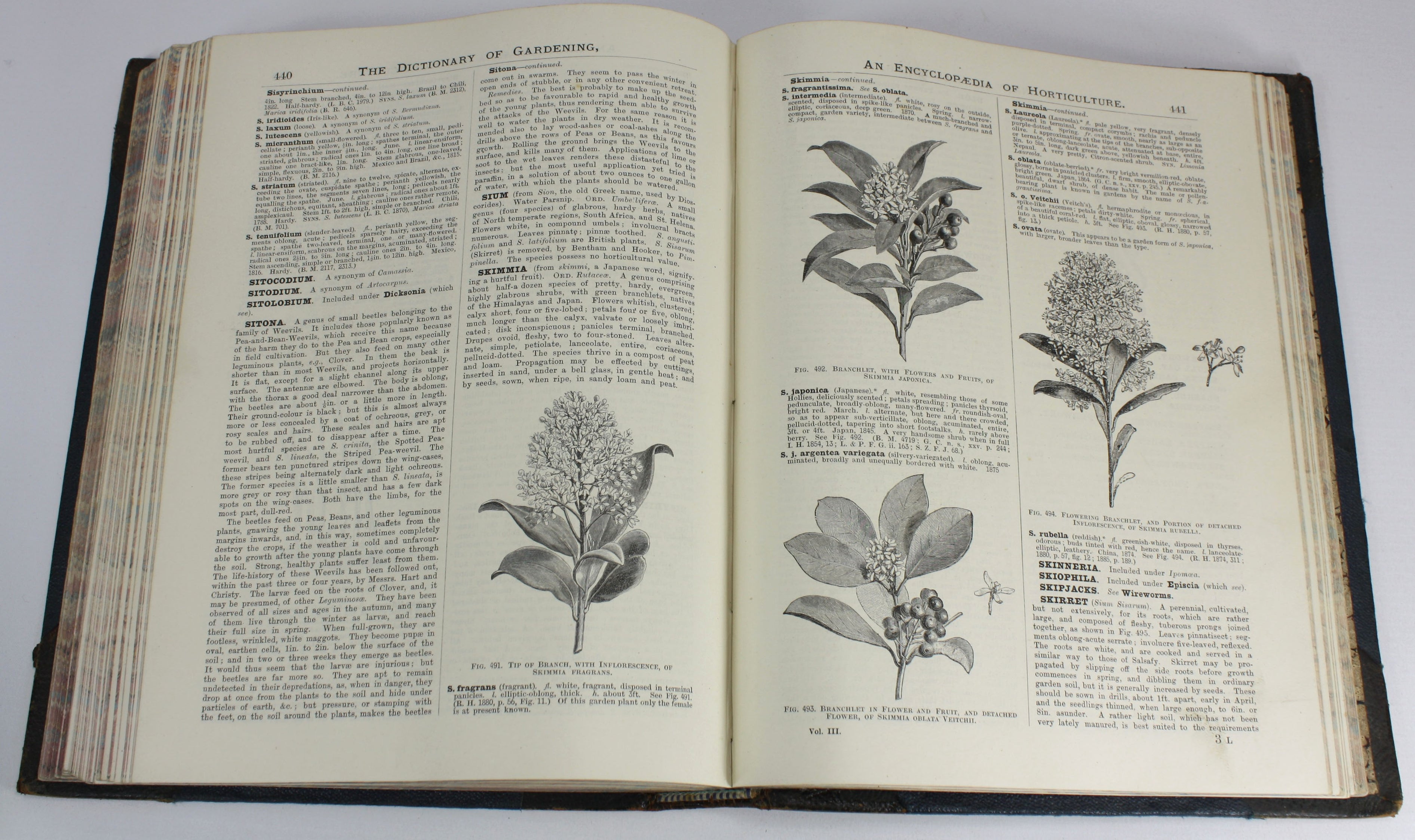 The illustrated Dictionary of Gardening, George Nicholson, 4 Volumes C ...