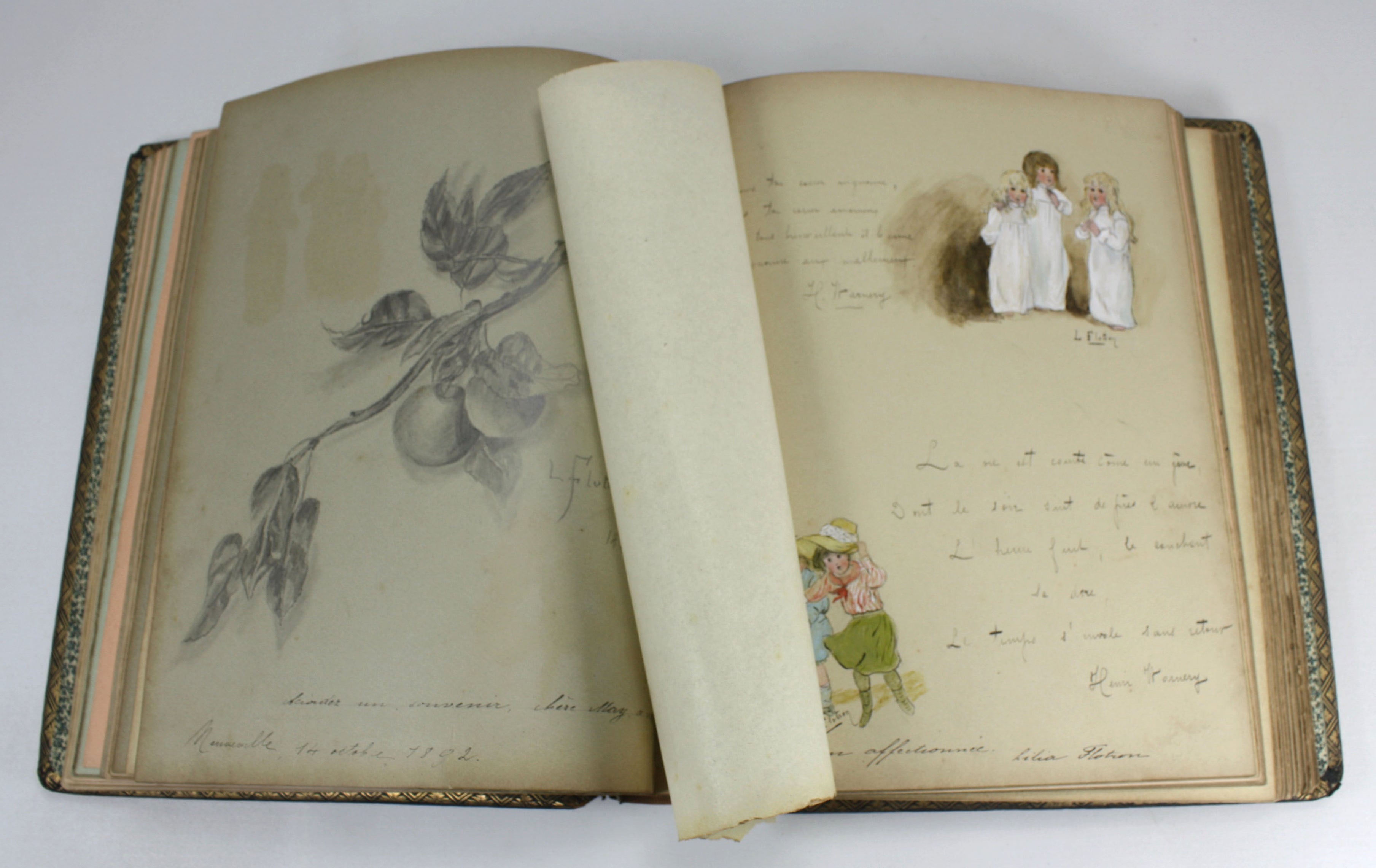 Victorian Artists' art book, May Violet Carsia, 41 Illustrated Pages ...