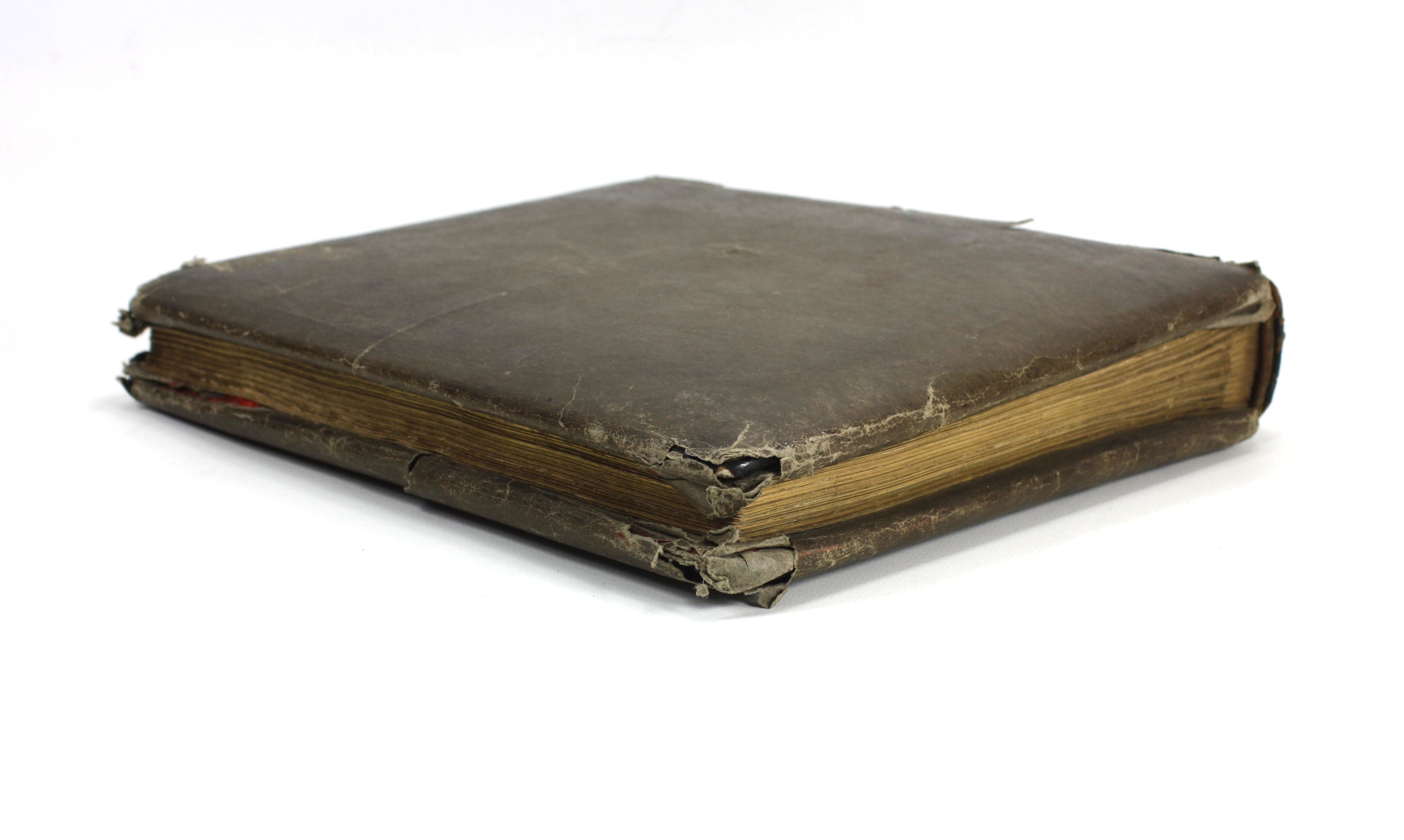 Victorian Artists' art book, May Violet Carsia, 41 Illustrated Pages ...